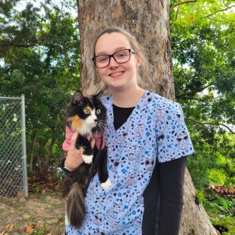 Veterinarian In Crystal River, FL | Crystal River